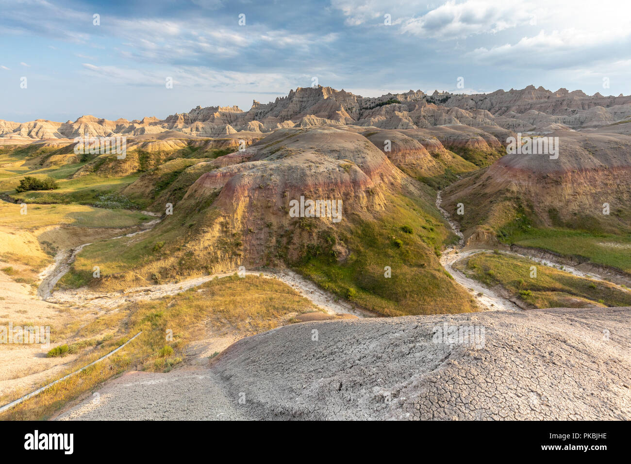 Badlands national park fossil hi-res stock photography and images - Alamy