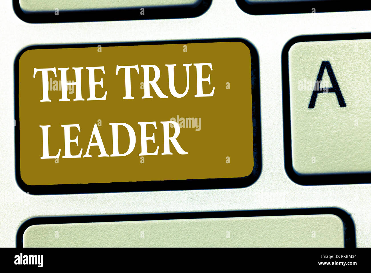 Text sign showing The True Leader. Conceptual photo one that move and ...