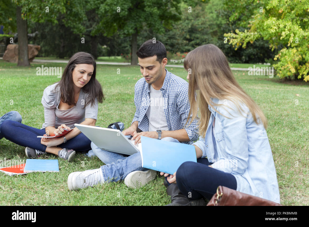 Group of friends studying together in a park Stock Photo - Alamy
