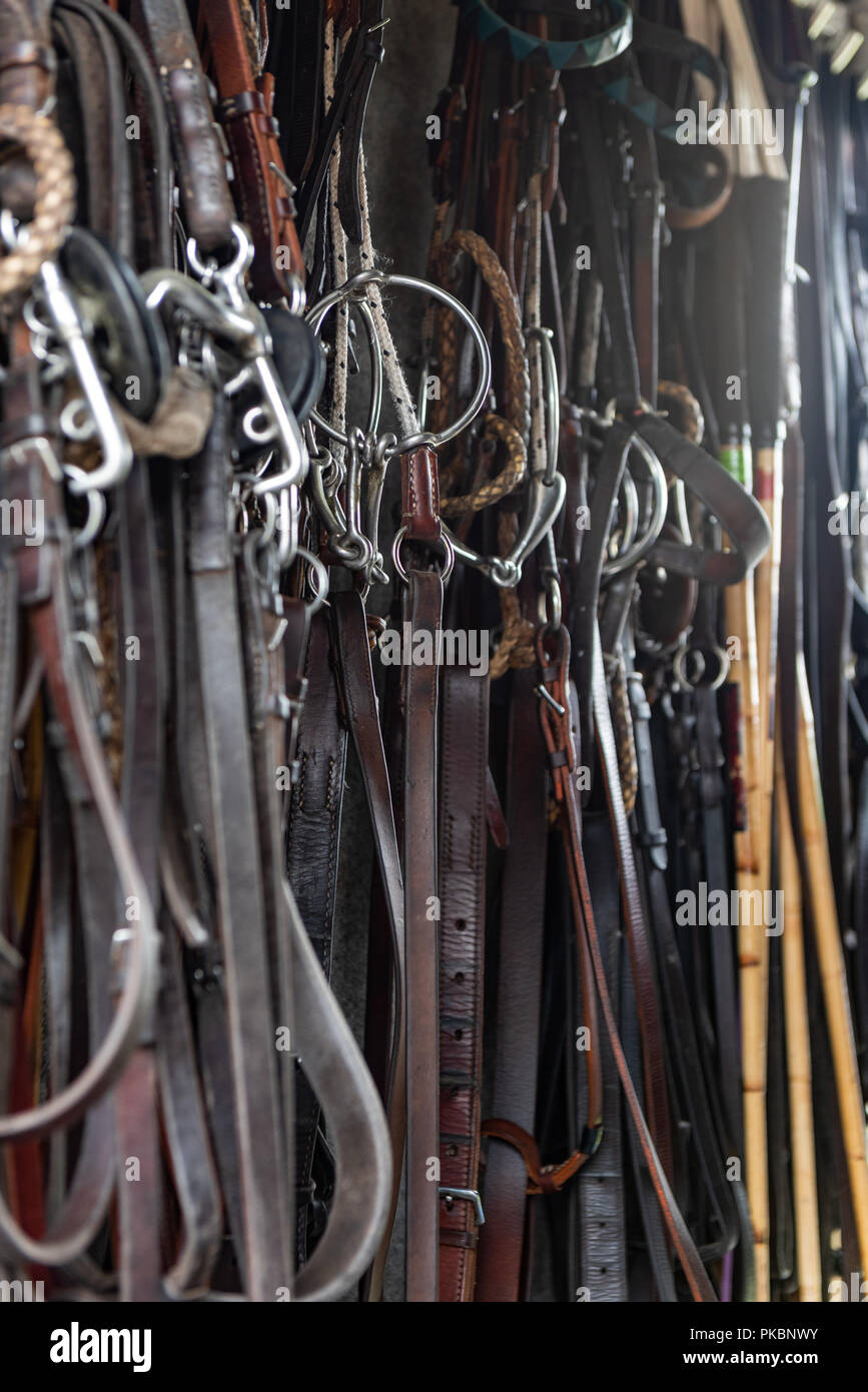 Niagara Polo featured two four-chukker games with players from the ...