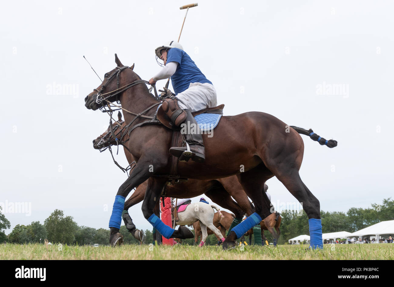 Stomp team hi-res stock photography and images - Alamy