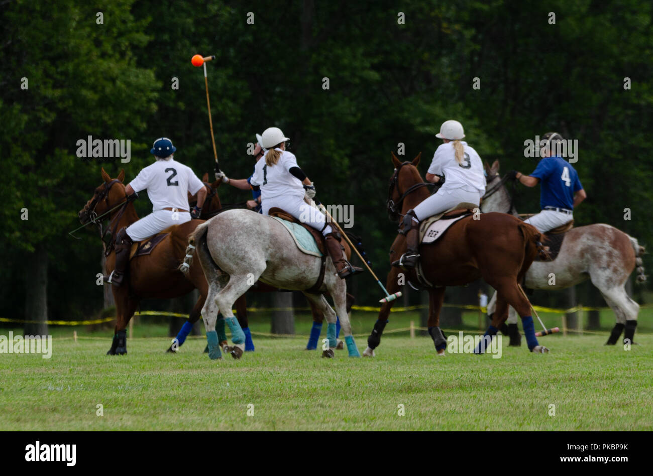 Niagara polo hi-res stock photography and images - Alamy