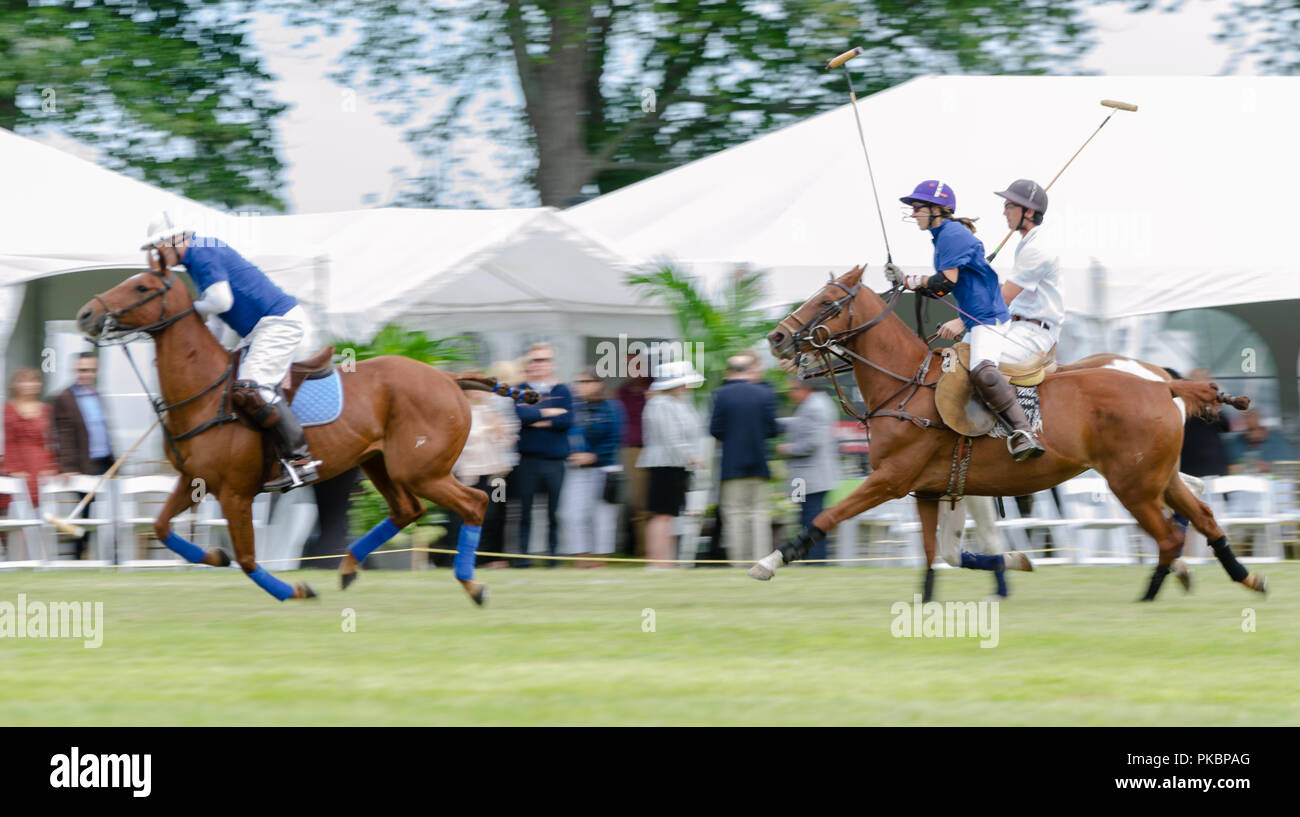 Niagara Polo featured two four-chukker games with players from the ...