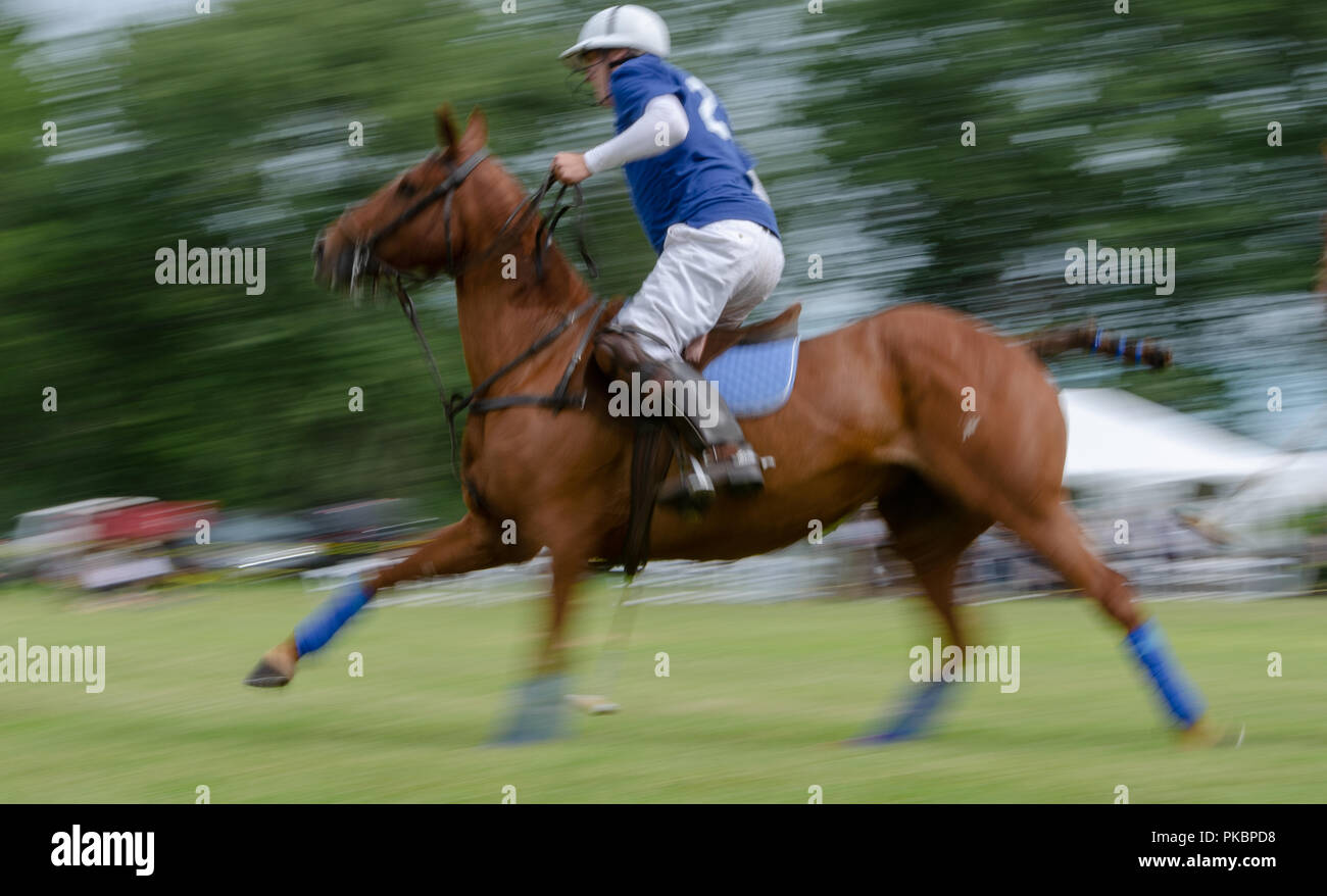 Niagara Polo featured two four-chukker games with players from the ...