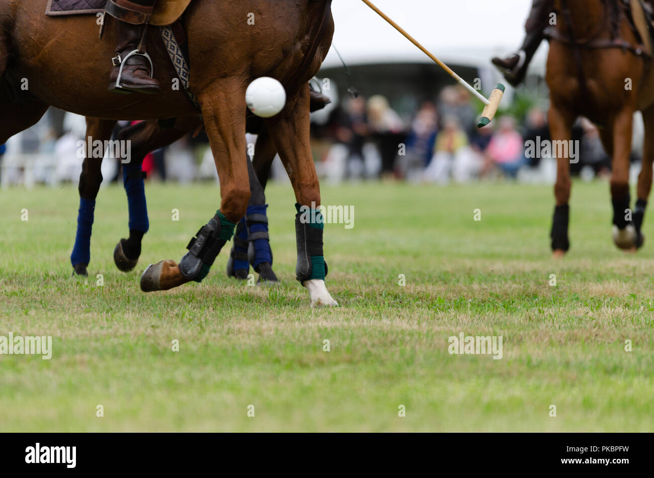 Niagara polo hi-res stock photography and images - Alamy
