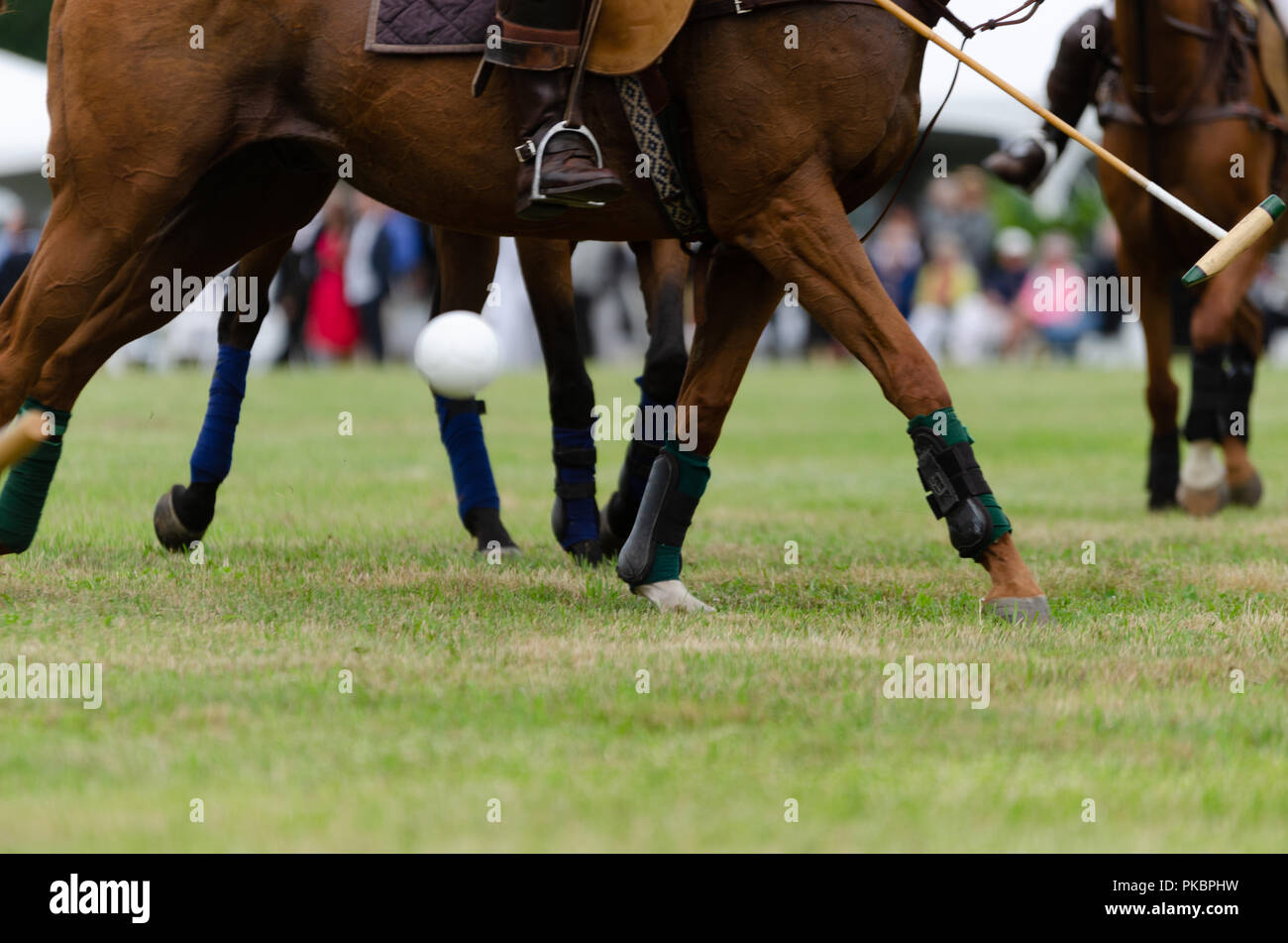 Niagara polo hi-res stock photography and images - Alamy