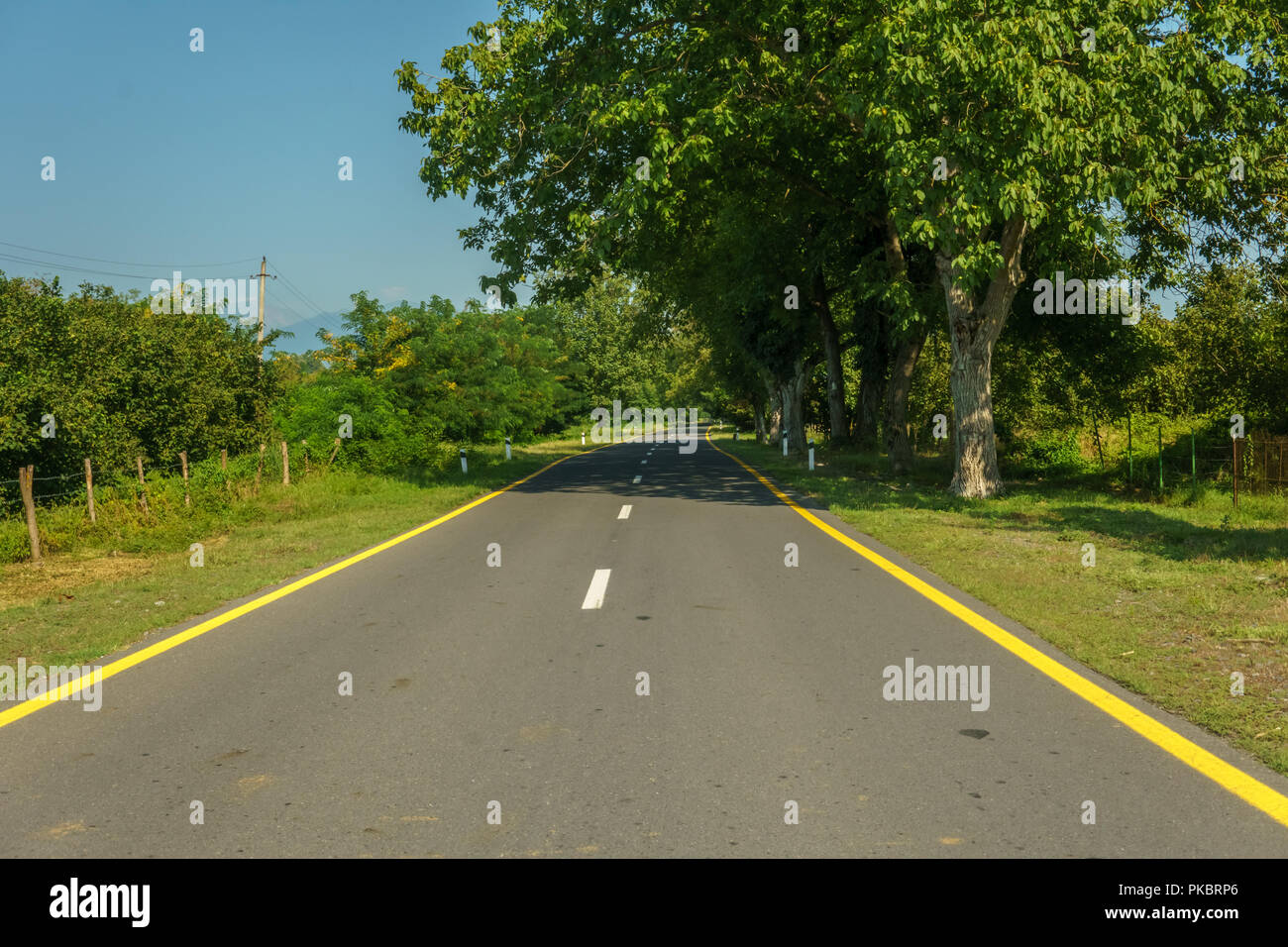 Highway asphalt way with green grass and trees Stock Photo - Alamy