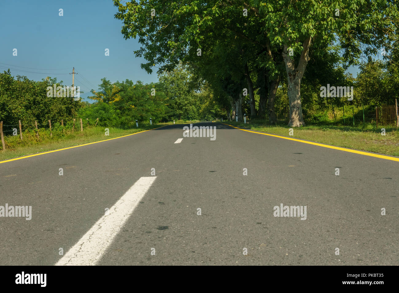 Highway asphalt way with green grass and trees Stock Photo - Alamy