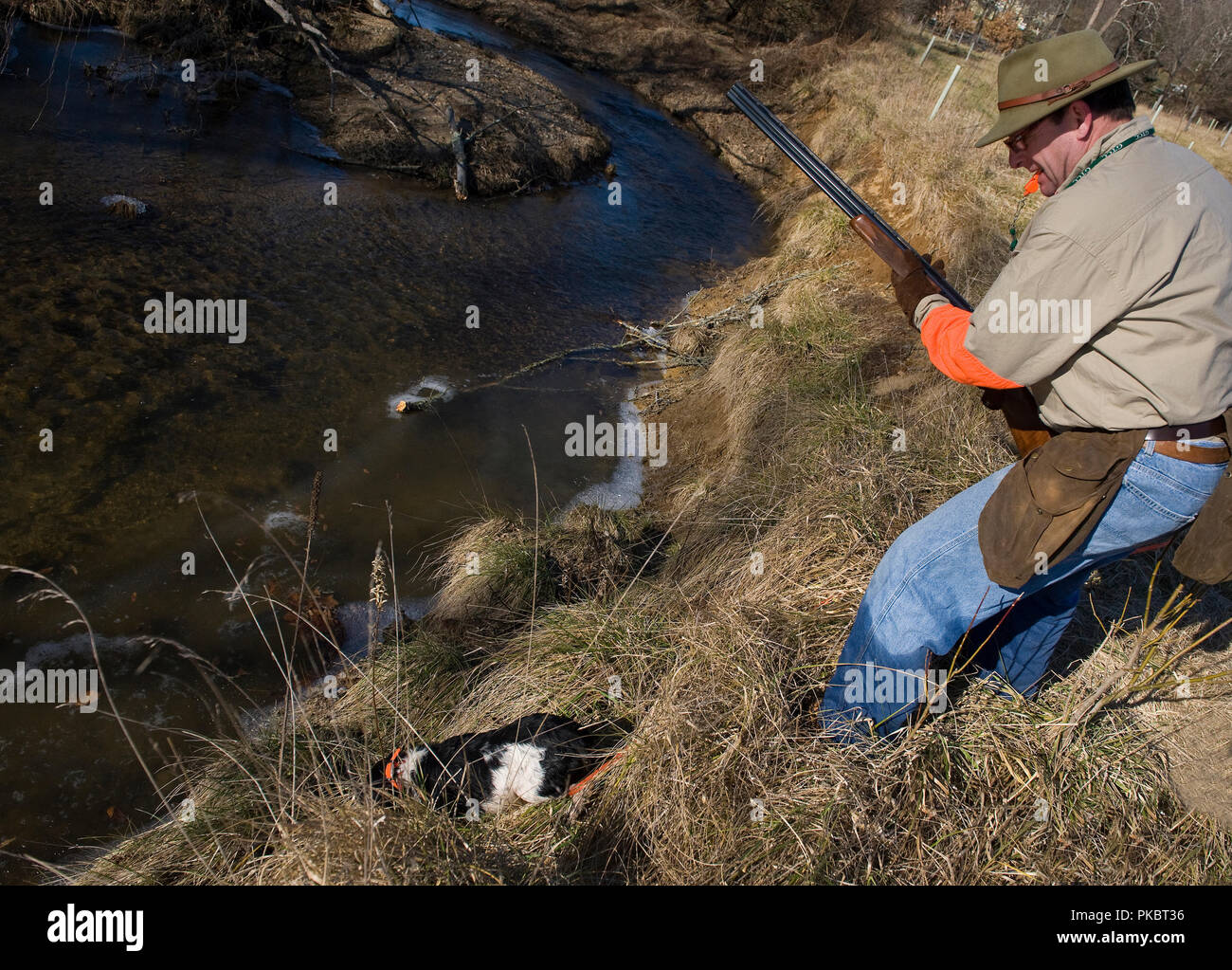 Upland game bird hunting in Loudoun County Virginia. A bird hunter ...