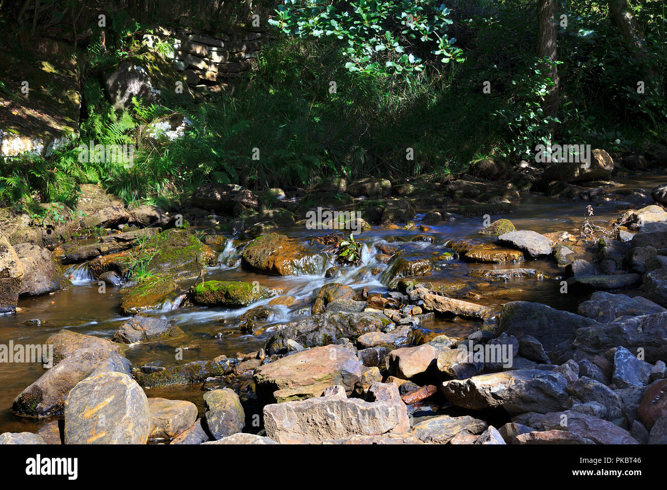 Eller Beck Ford Darnholme Lane on the North Yorkshire Moors near ...