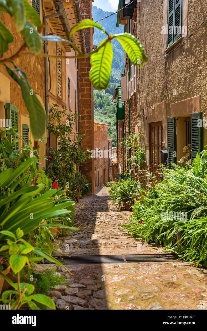 Spain Mallorca, beautiful alleyway with typical flower pots decoration ...