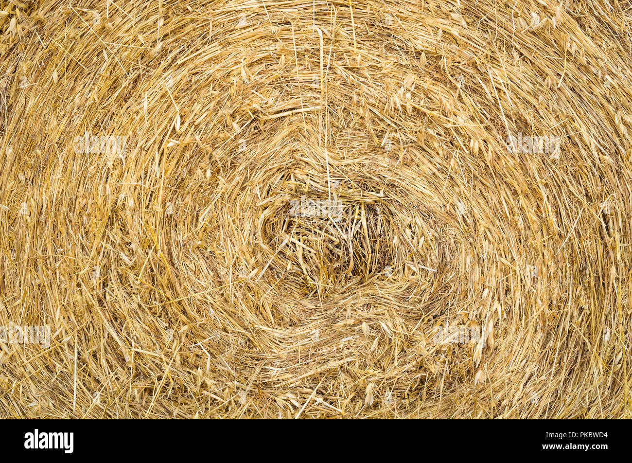 Hayloft Texture High Resolution Stock Photography and Images - Alamy