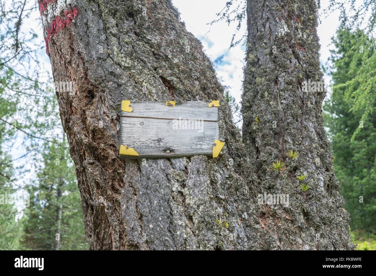 Wooden shield without text on a tree with red white red hiking markings ...