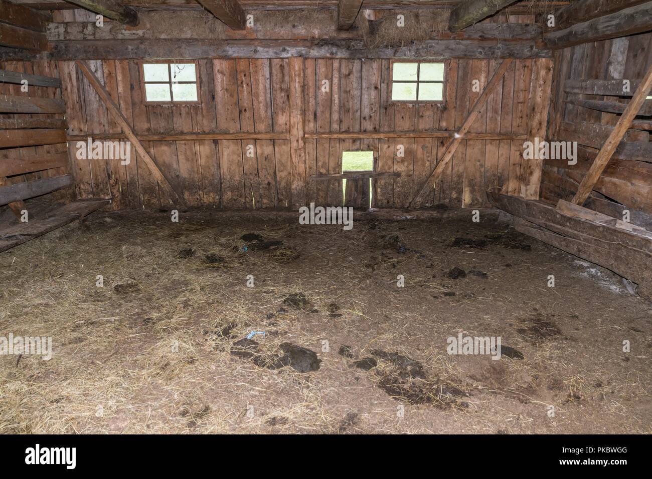Interior view of an old wooden cowshed on an alp, Austria Stock Photo ...