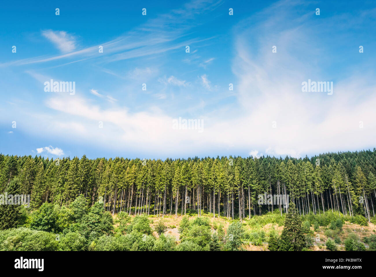 Blue isolated tree hill hi-res stock photography and images - Alamy