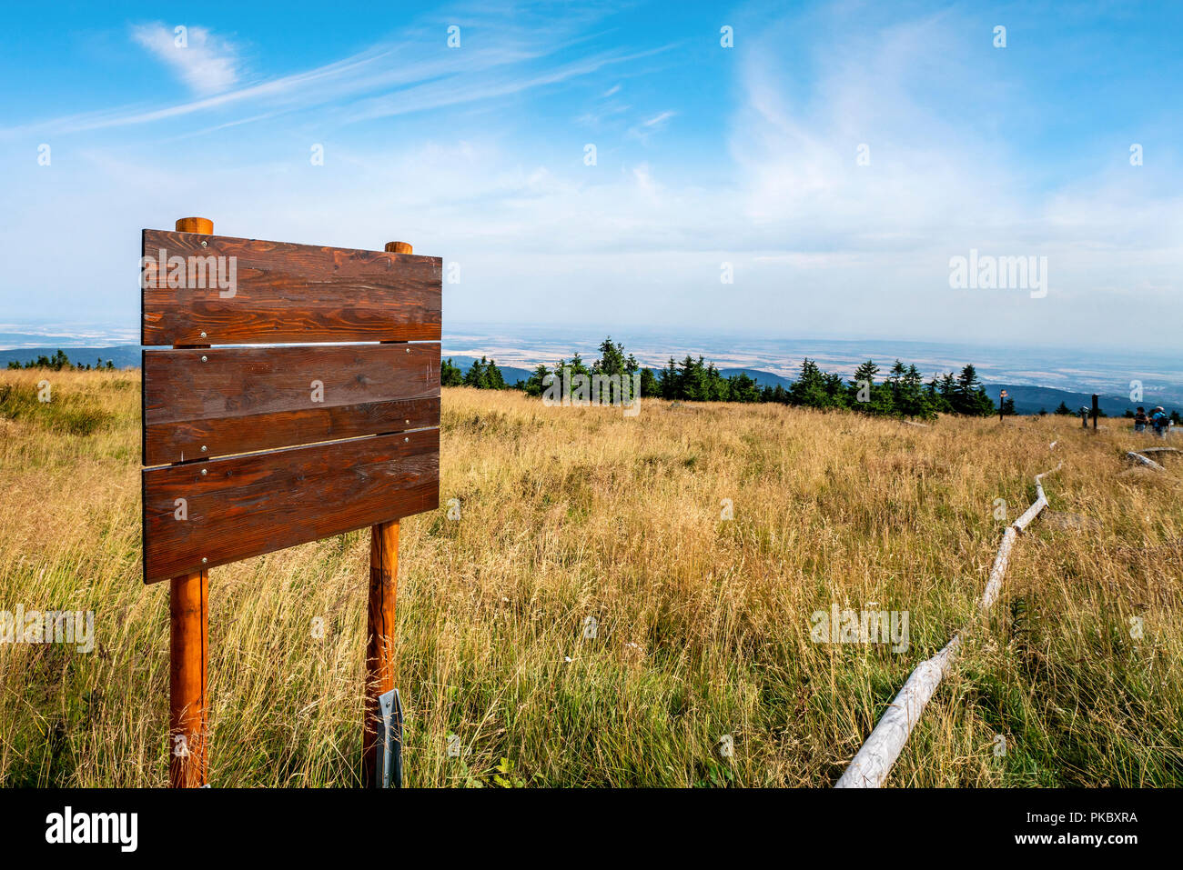 Wooden multi sign on the top of a hill with golden grass in the summer ...