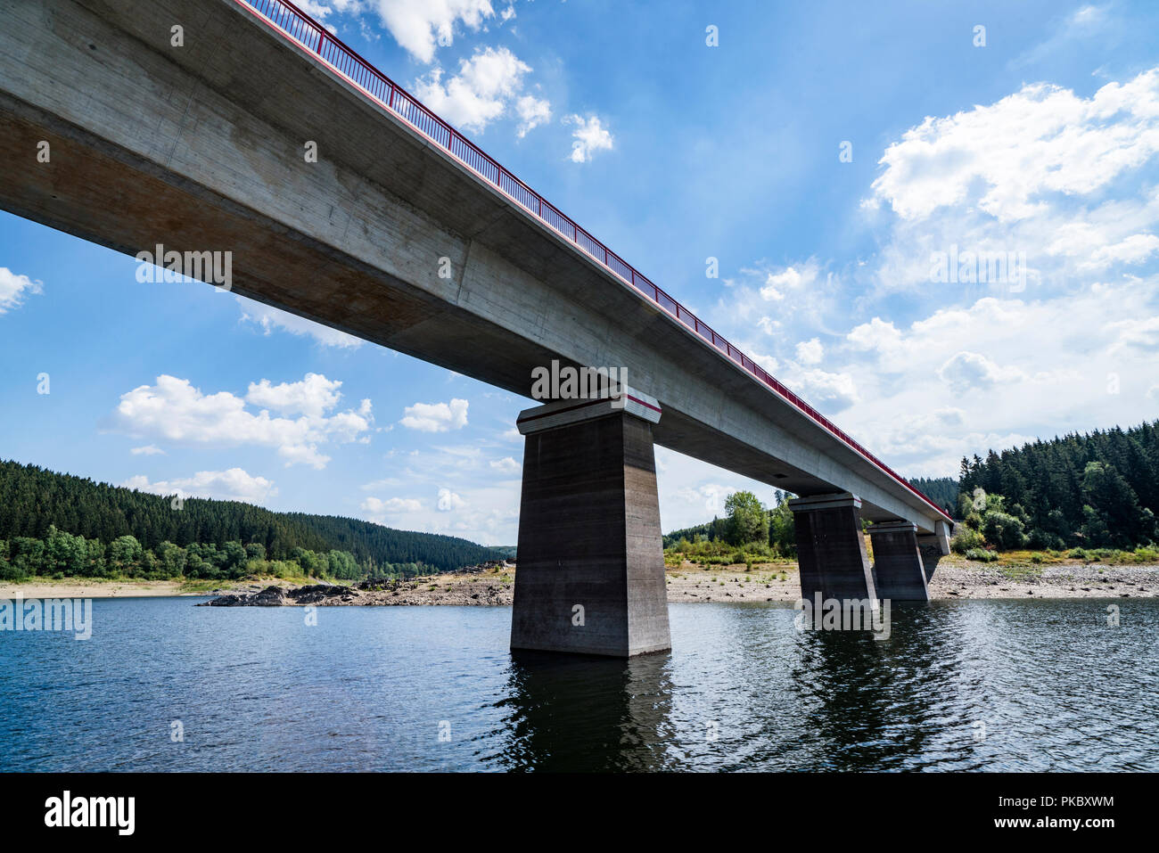 Large bridge over a river in beautiful nature with pine trees in the ...