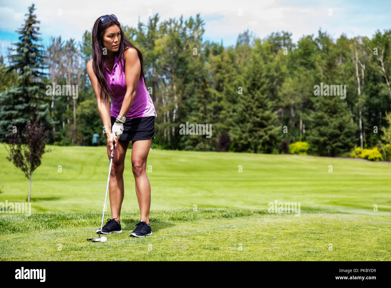 A female golfer lines up her putt her ball on the green on a warm ...