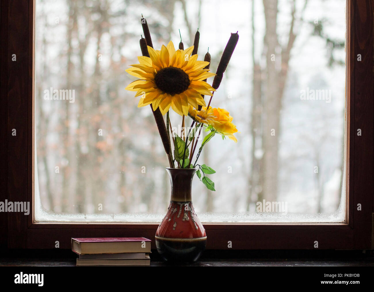 Sunflower and books on the window in winter Stock Photo - Alamy