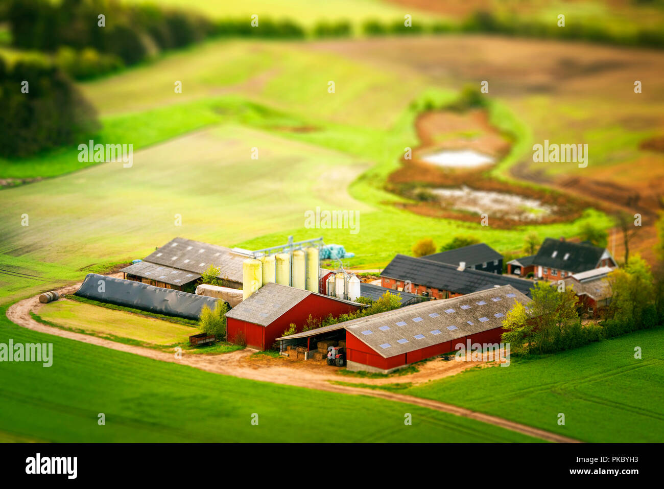 Rural farm in red colors with green fields around in the agriculture ...