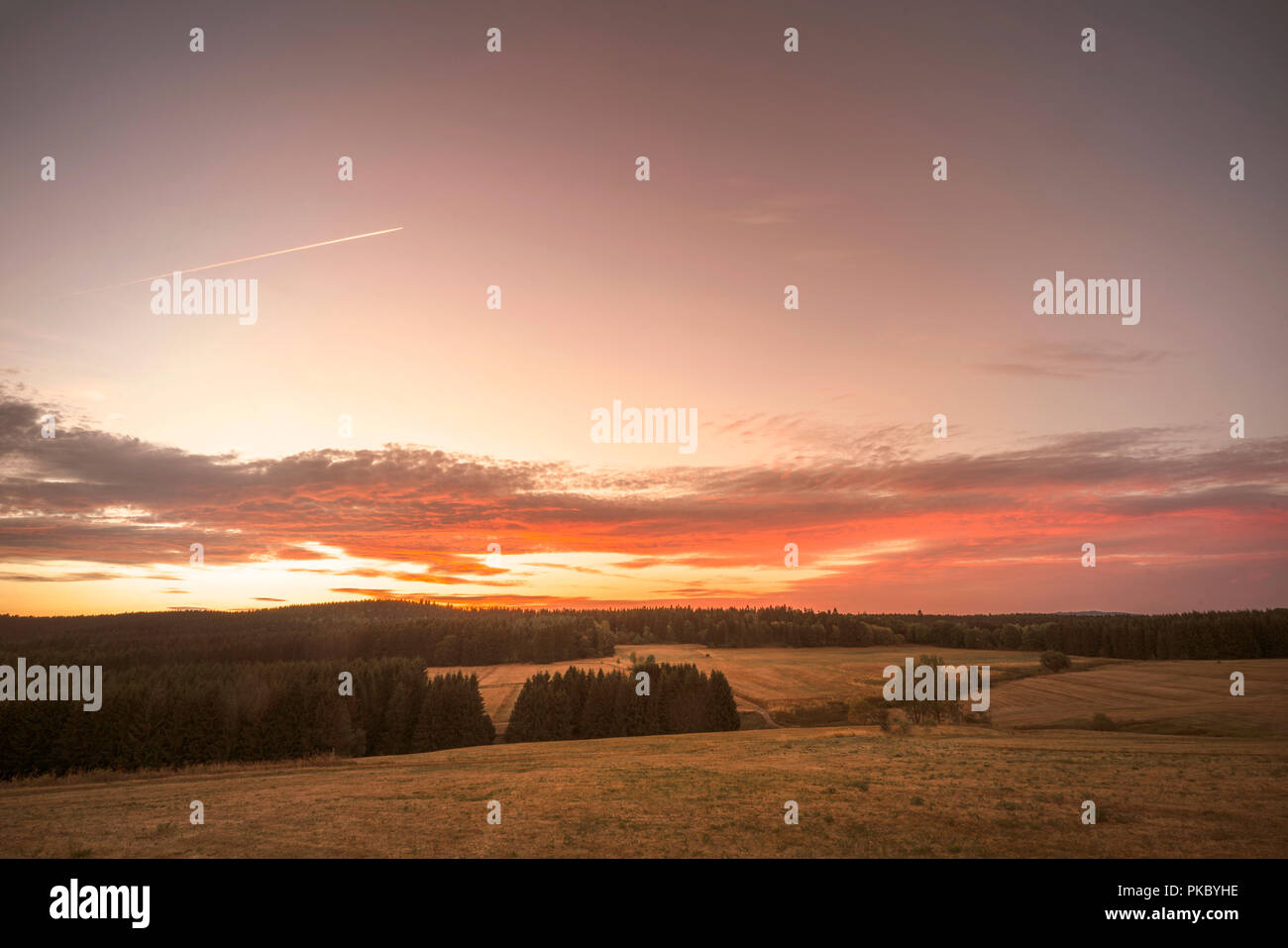 Sunset over a rural landscape with dry plains and a pine tree forest ...