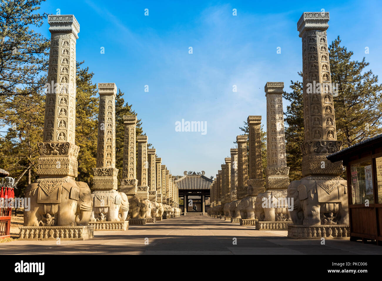 Elephant pillars hi-res stock photography and images - Alamy