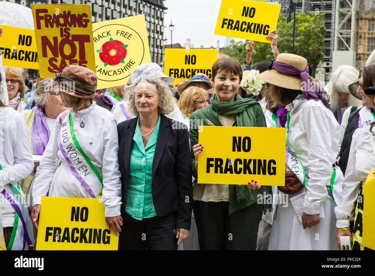 Baroness jenny jones of moulsecoomb hi-res stock photography and images ...