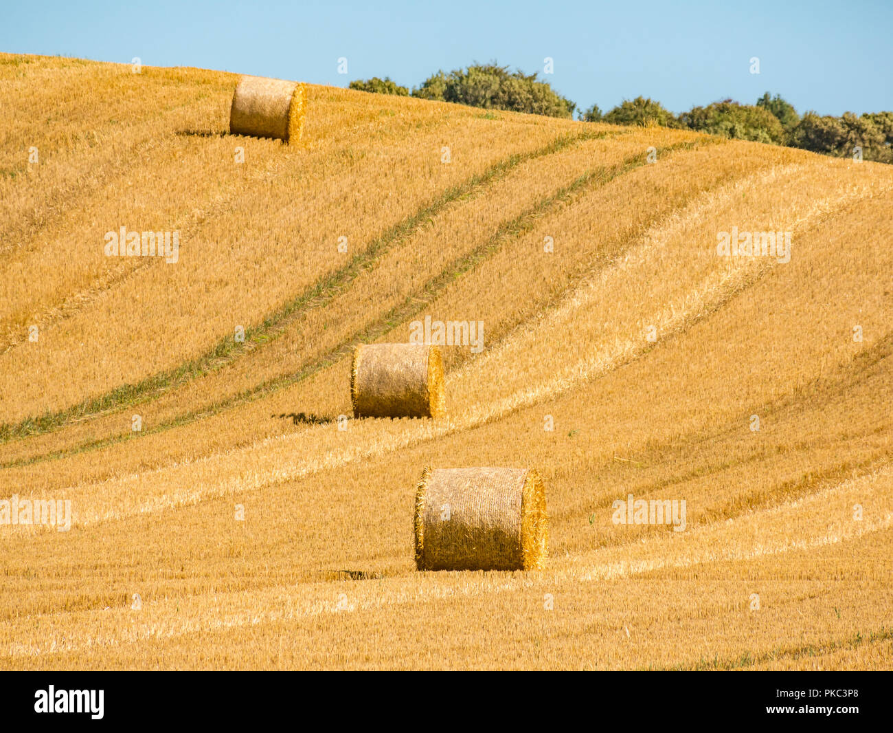 East Lothian, Scotland, UK, 12th September 2018. UK Weather: A ...