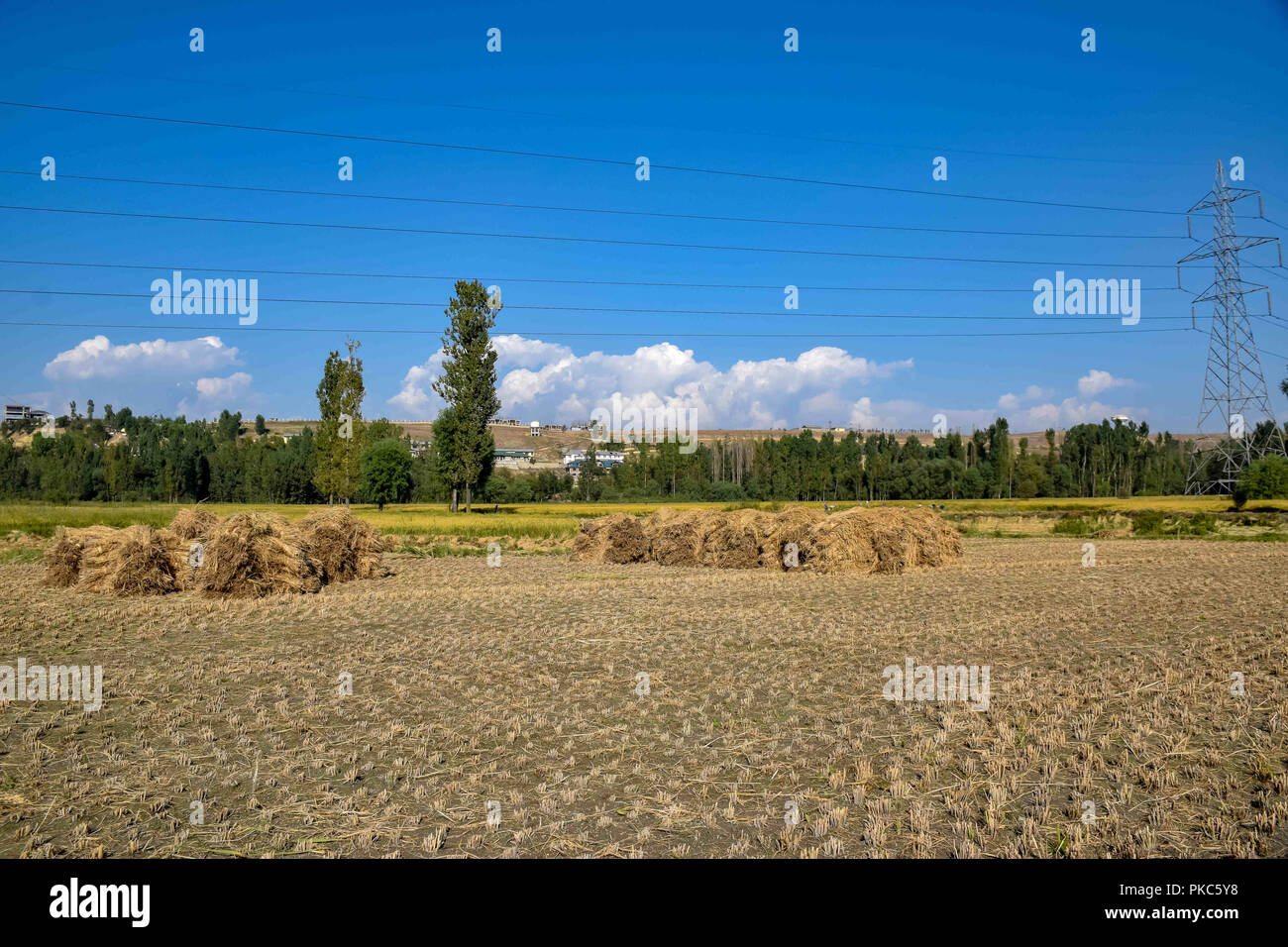 Two thirds view hi-res stock photography and images - Alamy
