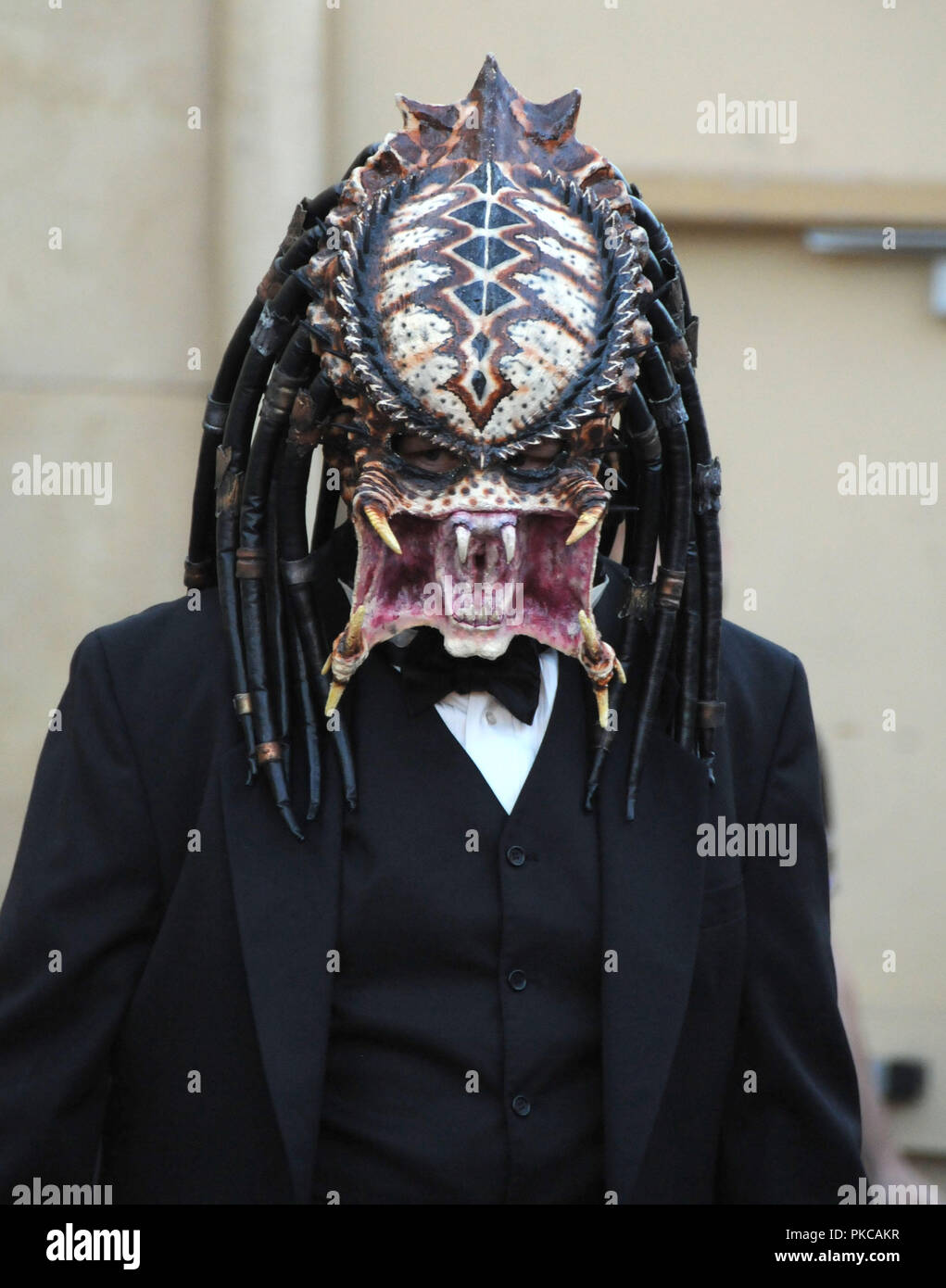 Egyptian red fox hi-res stock photography and images - Alamy