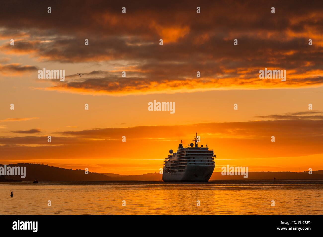 Silver liner hi-res stock photography and images - Alamy