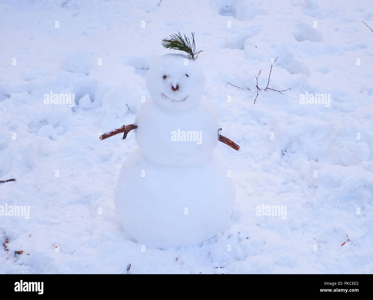 Little cute snowman standing on hi-res stock photography and images - Alamy