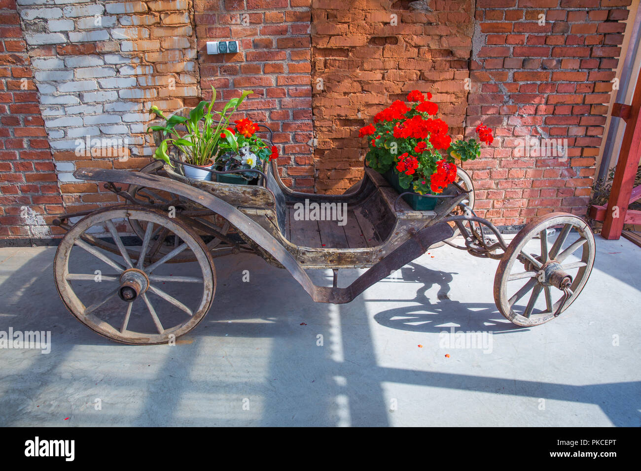 City Zarasi, Lithuania. Old retro horse carriage. Flowers and red wall ...