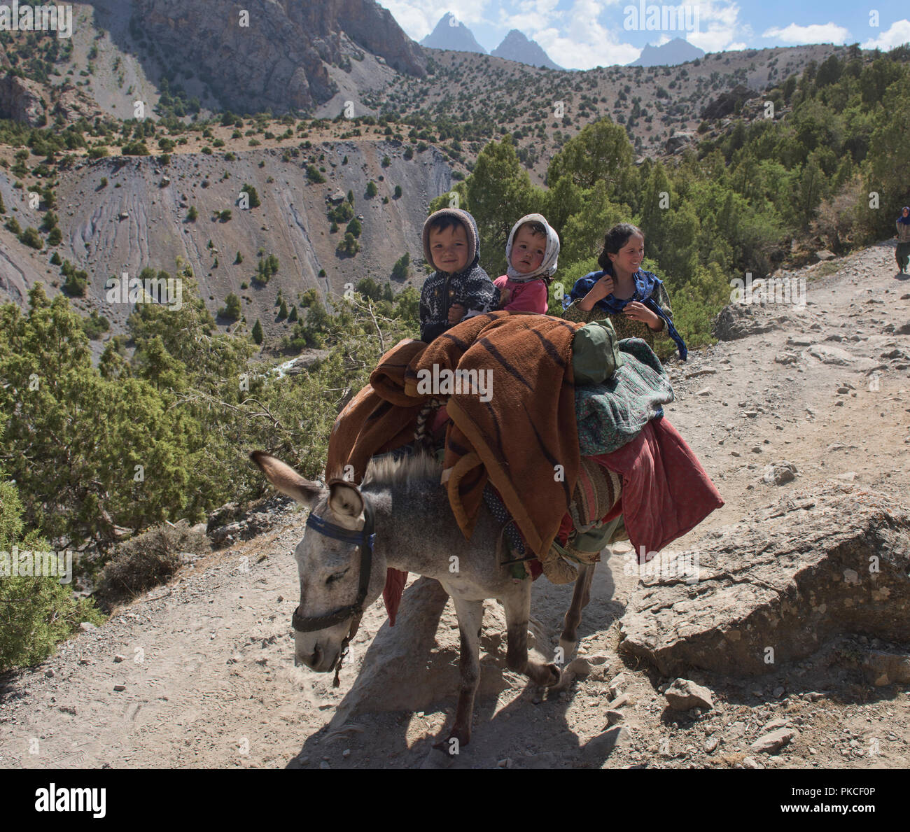 Donkey travel in the Fann Mountains, Tajikistan Stock Photo - Alamy