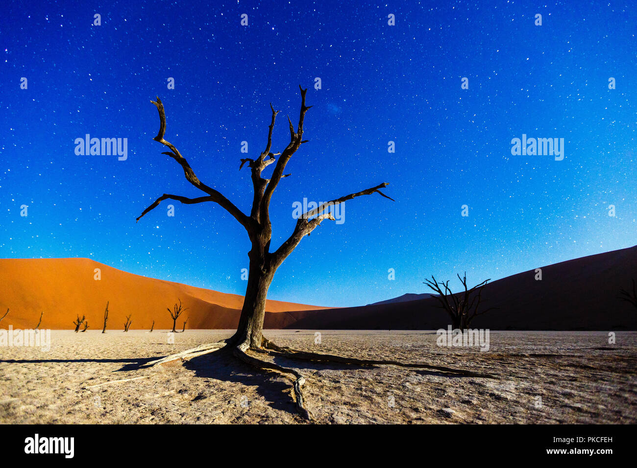 Tree dead moon silhouette hi-res stock photography and images - Alamy