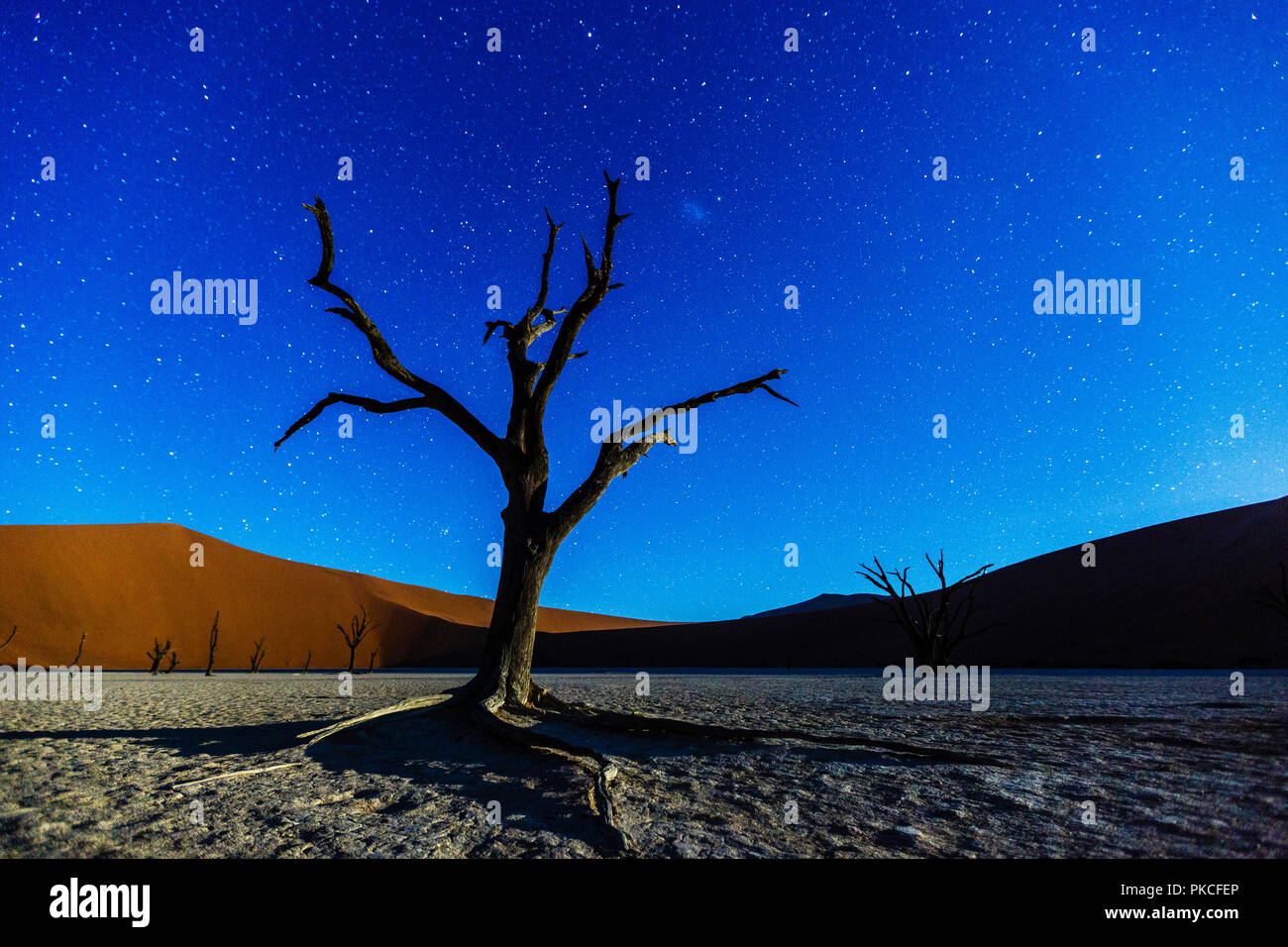 Tree dead moon silhouette hi-res stock photography and images - Alamy