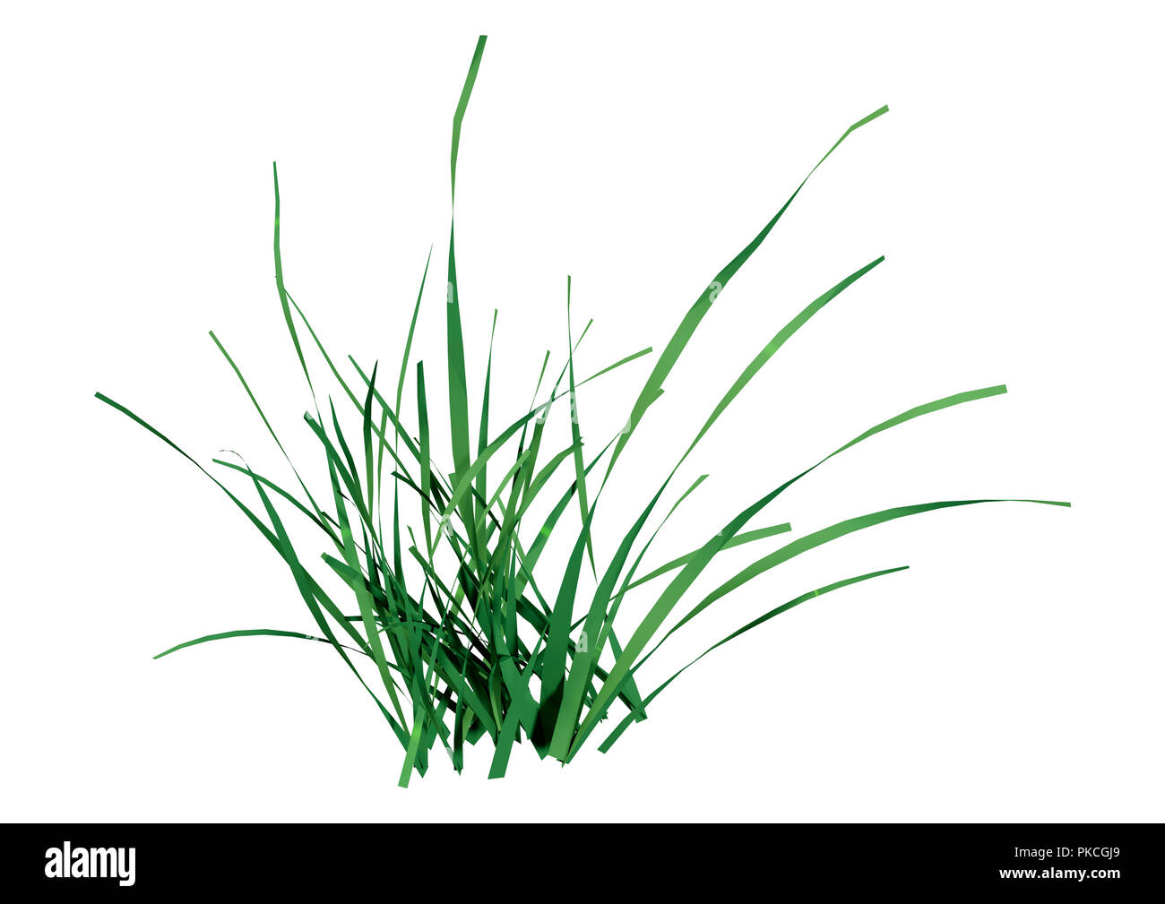 3D rendering of a green grass clump isolated on white background Stock ...
