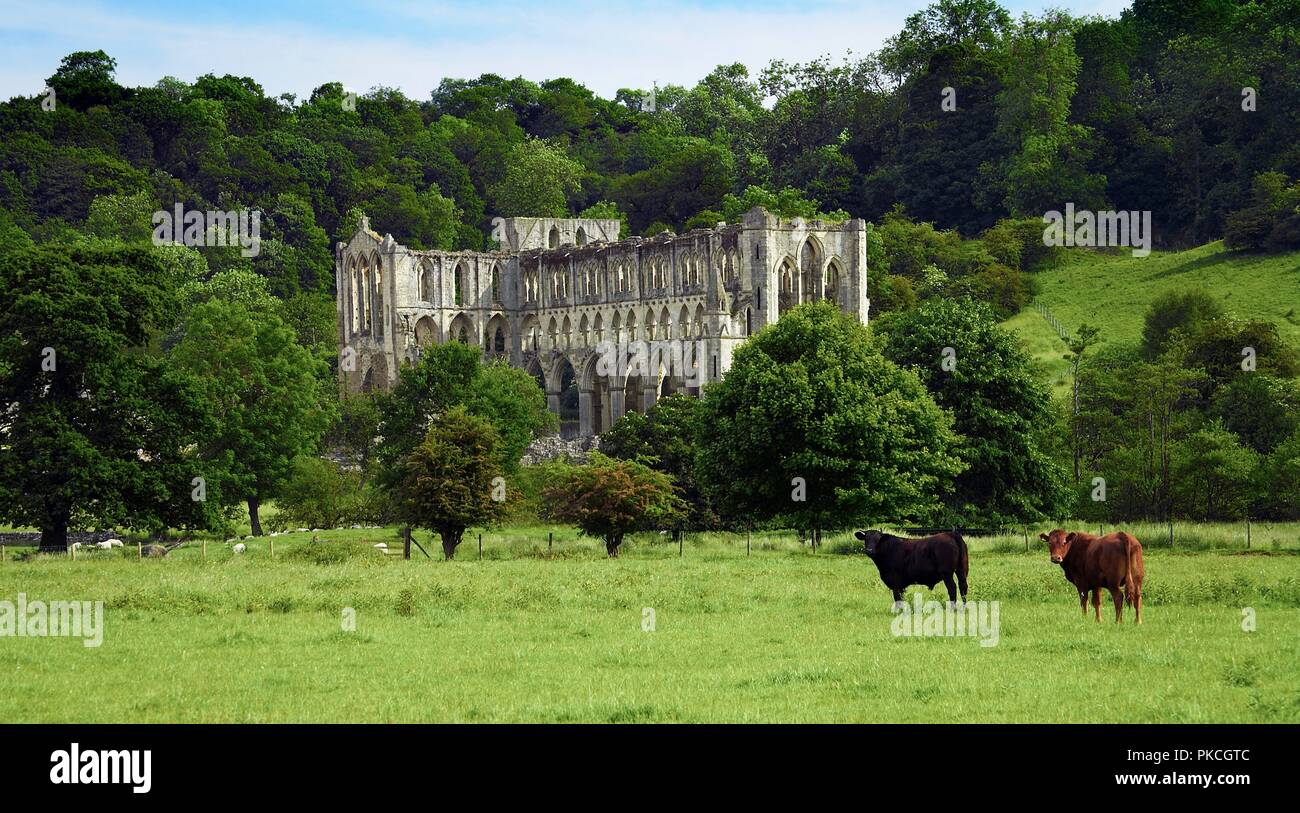 Rievaulx Abbey, North Yorkshire, 2006. Artist: Mike Kipling Stock Photo ...