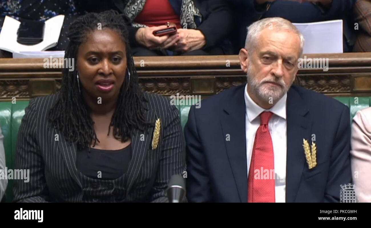 Shadow Minister for Women and Equalities Dawn Butler and Labour party ...