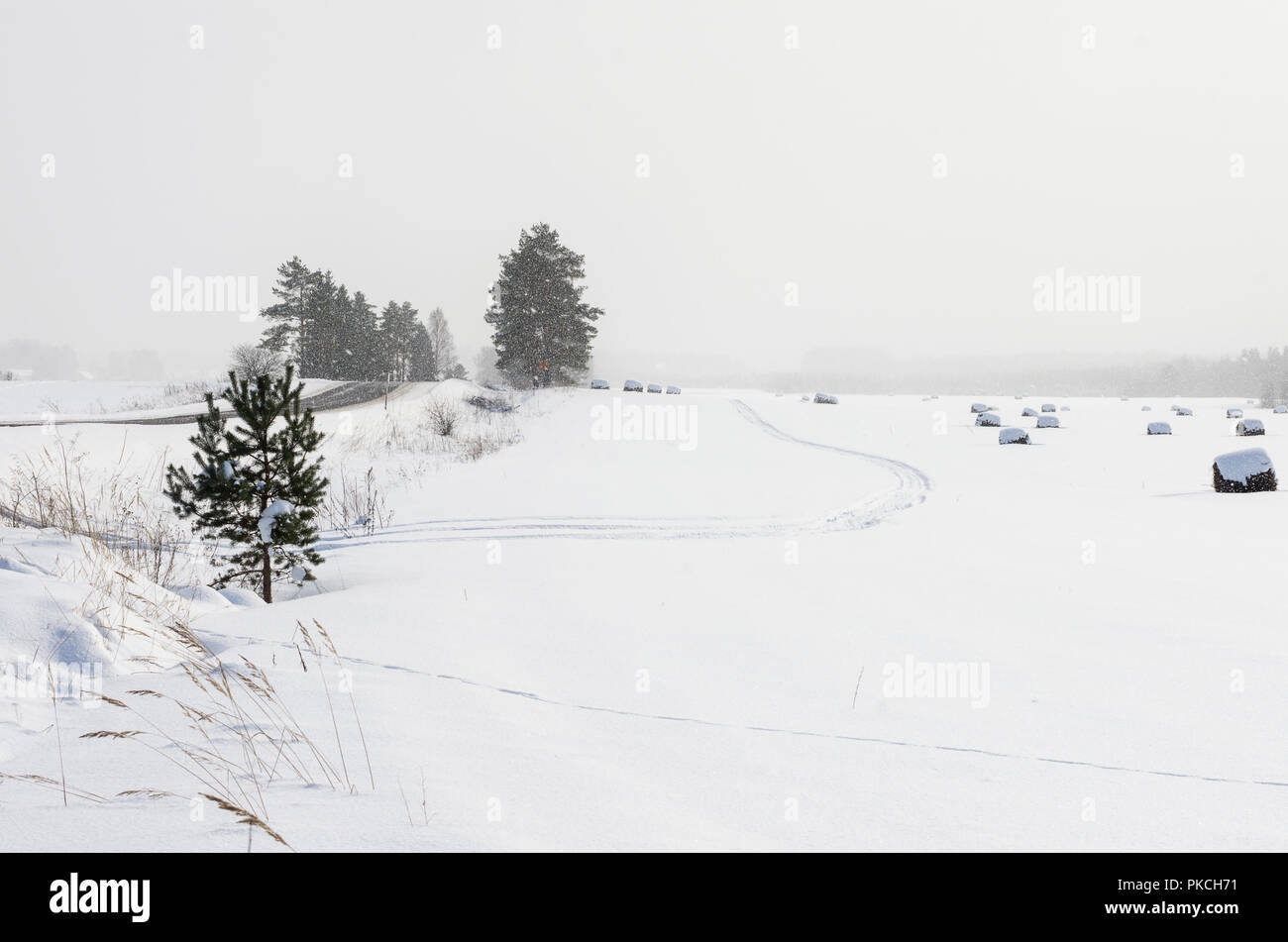 Snow-covered smooth field with path and roads in light fog and rolls of ...