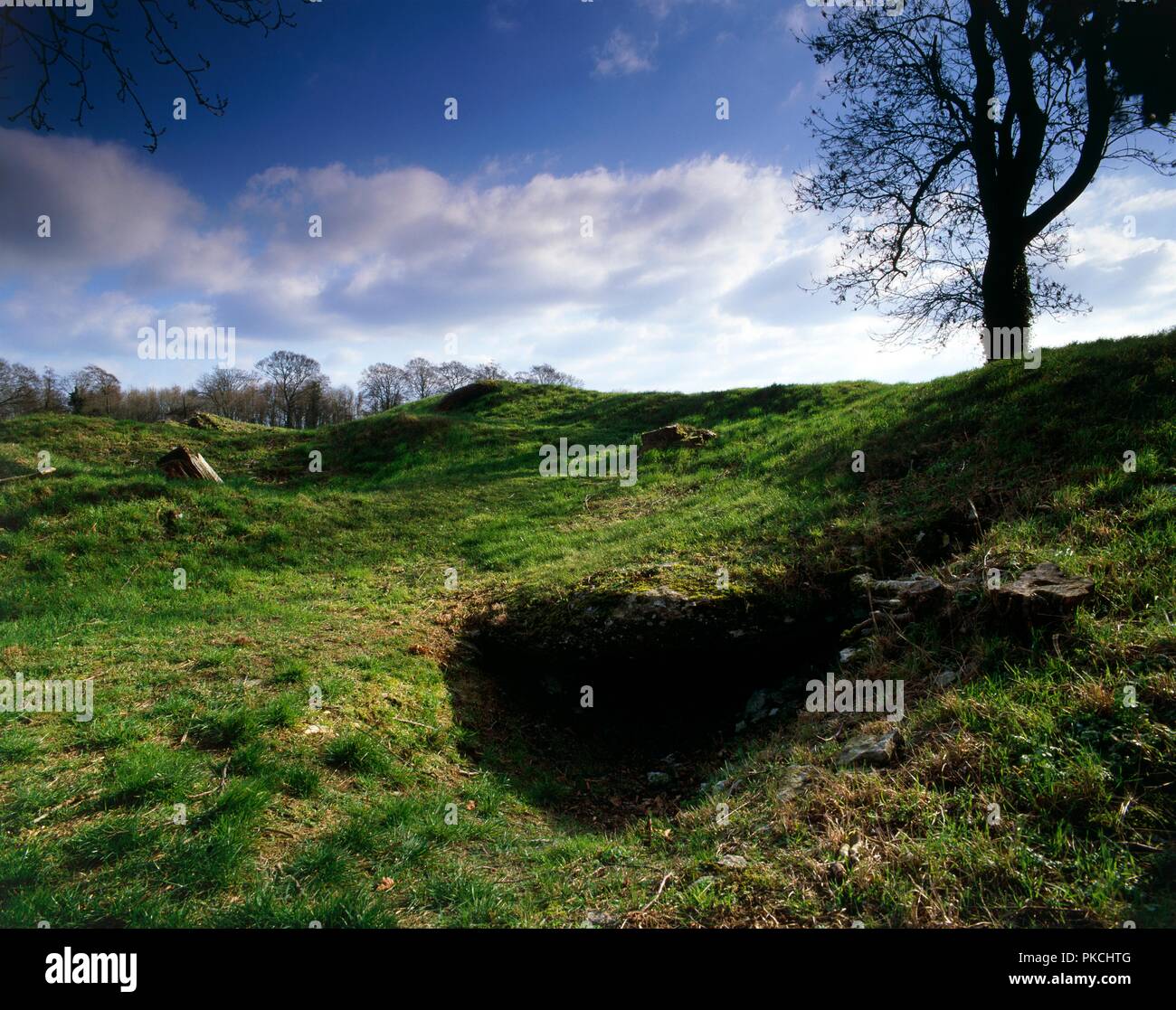 Windmill Tump Long Barrow, Rodmarton, Gloucestershire, 2010. Artist ...