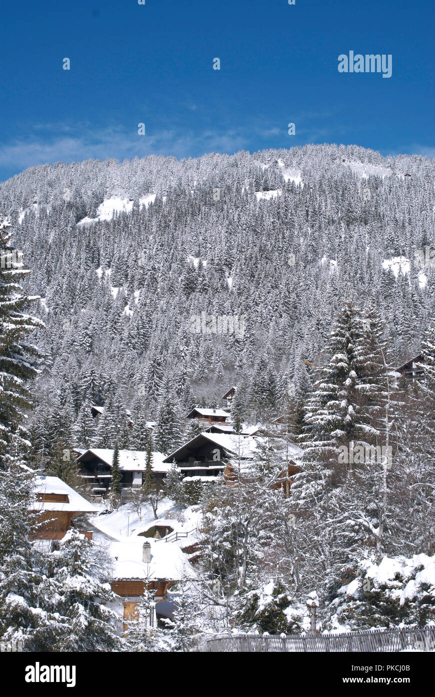 Villars sur ollon village hi-res stock photography and images - Alamy