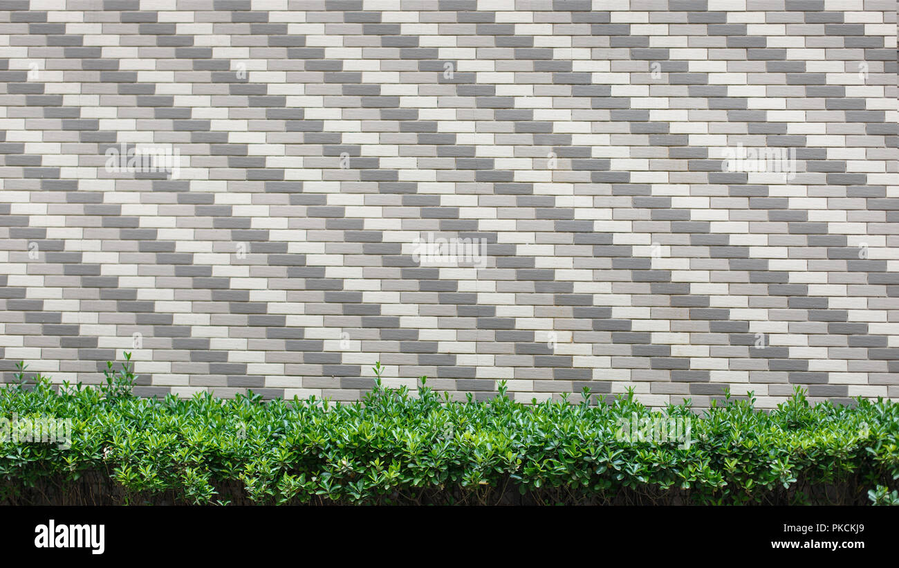 Green bushes on a background of bricks Stock Photo - Alamy