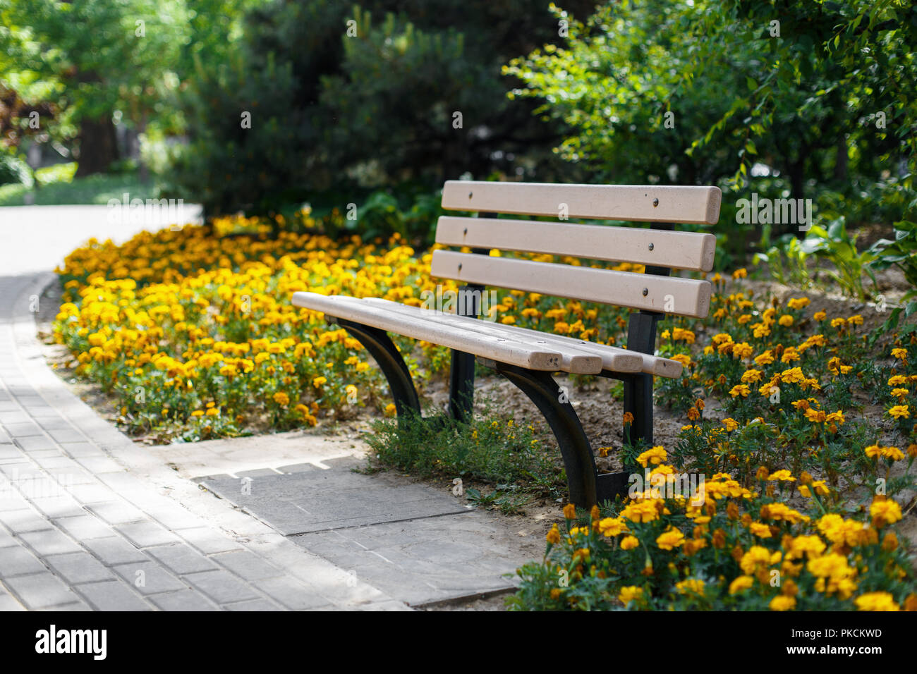 Beautiful bench in the park. Flower bed Stock Photo - Alamy