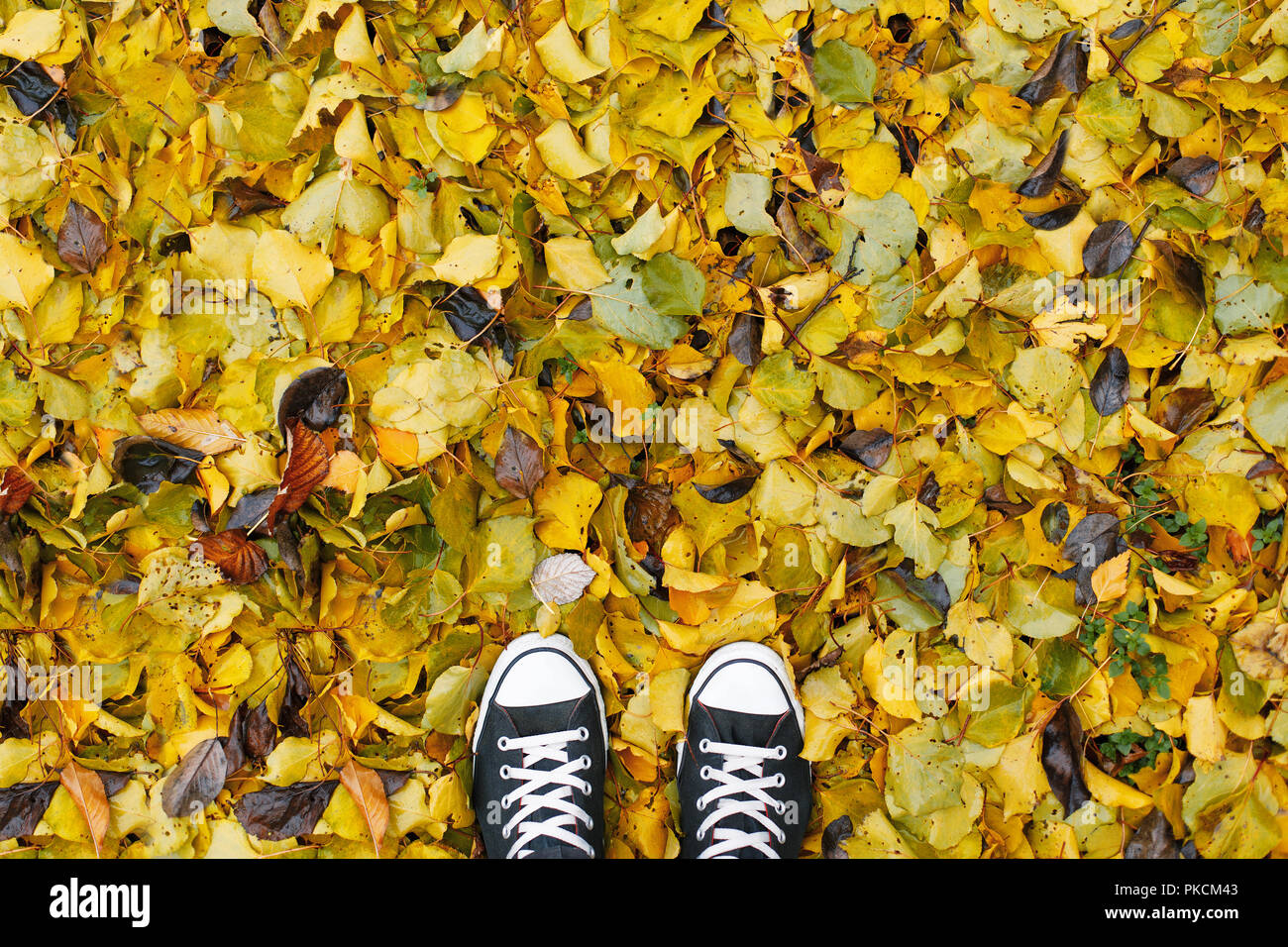 Autumn season in hipster style shoes Stock Photo - Alamy