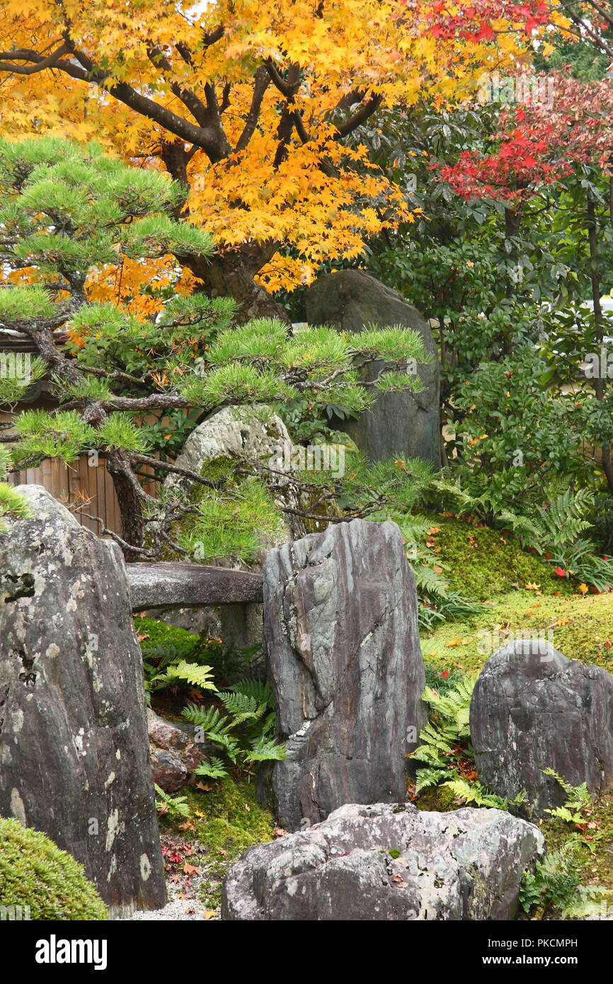 Japan in autumn (red maple trees in japanese gardens of Kyoto Stock ...