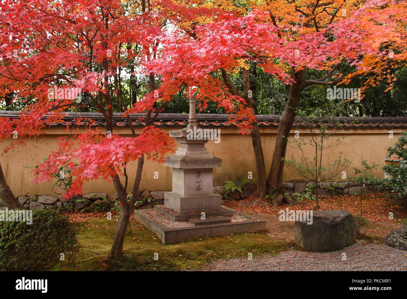 Japan in autumn (red maple trees in japanese gardens of Kyoto Stock ...