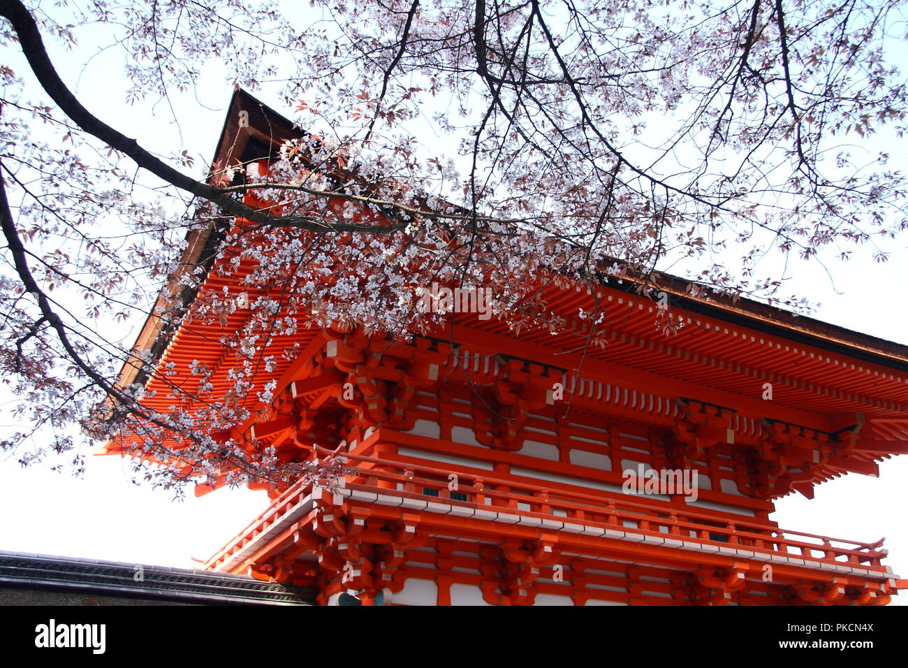 Cherry blossom japanese red temple hi-res stock photography and images ...