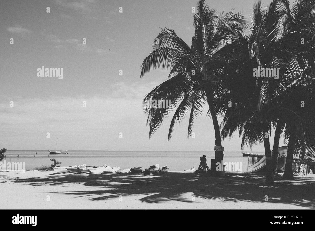 At tropical beach Black and White Stock Photos & Images - Alamy