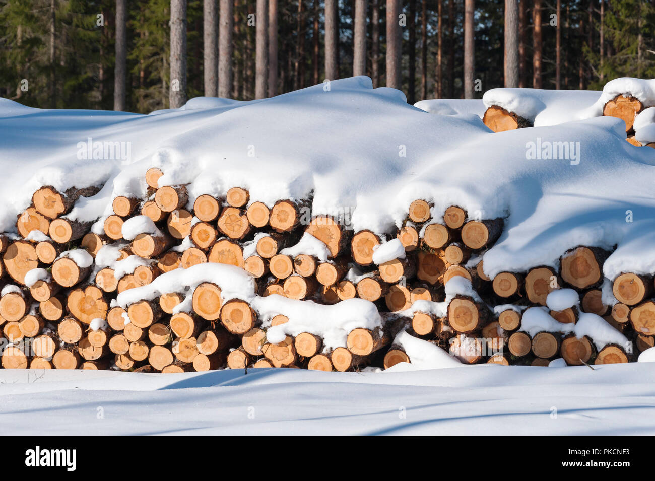 Virke hi-res stock photography and images - Alamy